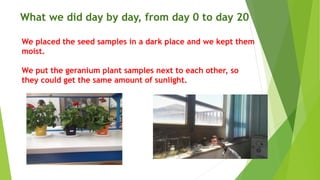 Think & Study Green - The effects of acid rain on plants | PPT