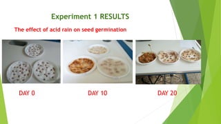 Think & Study Green - The effects of acid rain on plants | PPT