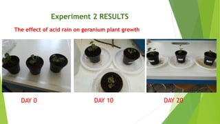 Think & Study Green - The effects of acid rain on plants | PPT
