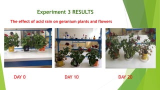 Think & Study Green - The effects of acid rain on plants | PPT