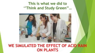 Think & Study Green - The effects of acid rain on plants | PPT