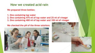 Think & Study Green - The effects of acid rain on plants | PPT
