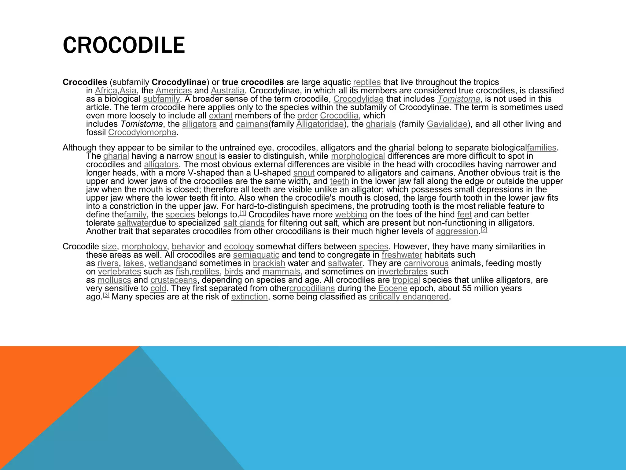 Crocodile | PPT