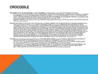 Crocodile | PPT