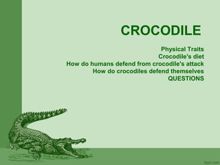 Crocodile | PPT