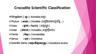 CROCODILE.pdf