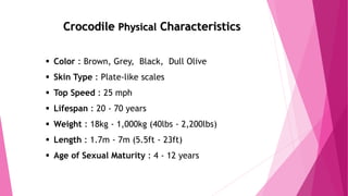 CROCODILE.pdf