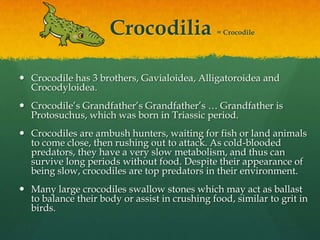 Crocodile PPT | PPTX