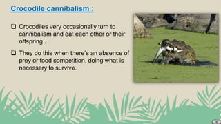 Feeding and Breeding Biology of Crocodile.pptx