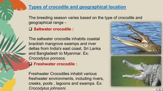 Feeding and Breeding Biology of Crocodile.pptx
