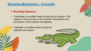 Feeding and Breeding Biology of Crocodile.pptx