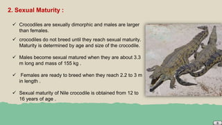 Feeding and Breeding Biology of Crocodile.pptx