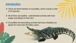 Feeding and Breeding Biology of Crocodile.pptx
