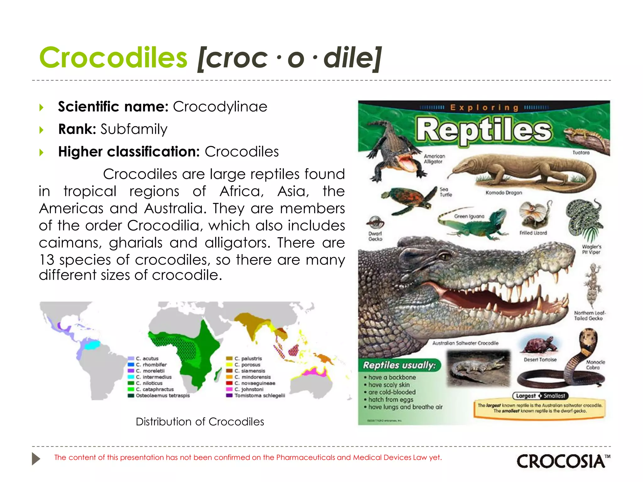 Crocodile oil.Crocosia | PDF