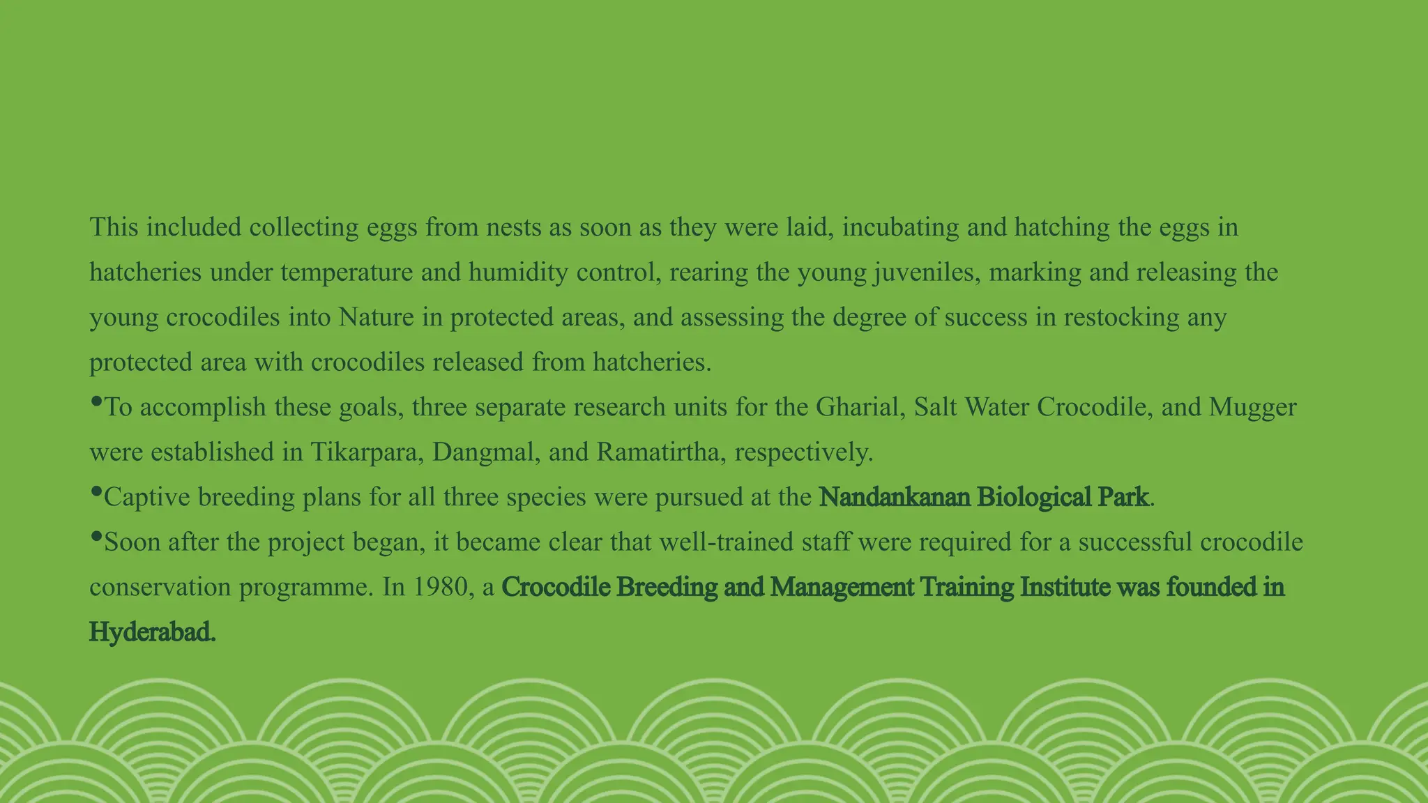 CROCODILE PROJECT ECOLOGY CONSERVATION OF CROCODILES | PPTX