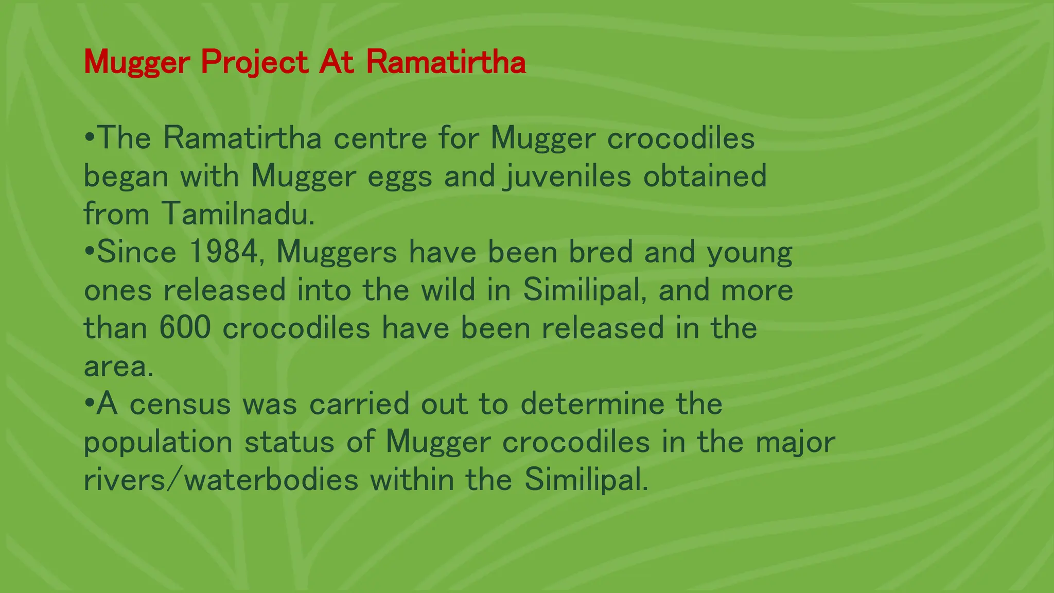 CROCODILE PROJECT ECOLOGY CONSERVATION OF CROCODILES | PPTX