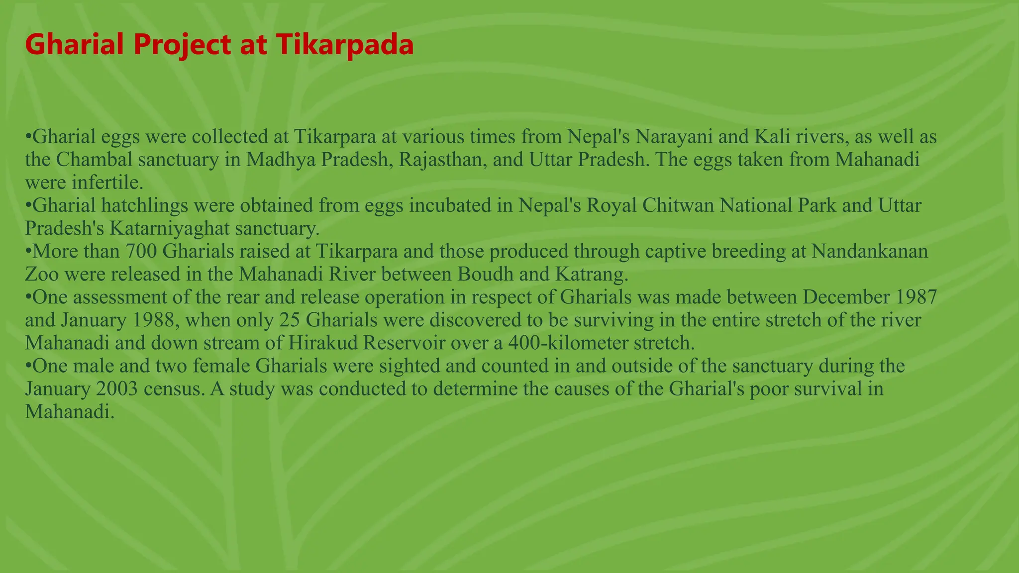 CROCODILE PROJECT ECOLOGY CONSERVATION OF CROCODILES | PPTX