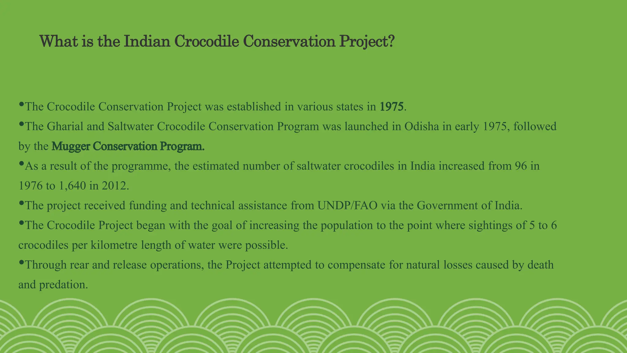 CROCODILE PROJECT ECOLOGY CONSERVATION OF CROCODILES | PPTX