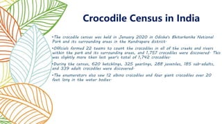 CROCODILE PROJECT ECOLOGY CONSERVATION OF CROCODILES | PPTX