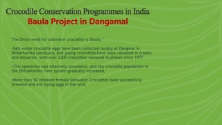 CROCODILE PROJECT ECOLOGY CONSERVATION OF CROCODILES | PPTX