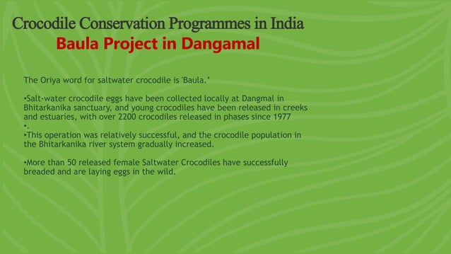 CROCODILE PROJECT ECOLOGY CONSERVATION OF CROCODILES | PPTX | Zoos ...