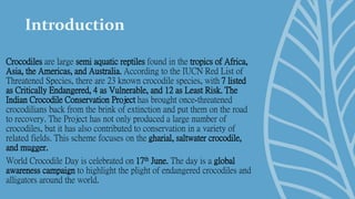 CROCODILE PROJECT ECOLOGY CONSERVATION OF CROCODILES | PPTX