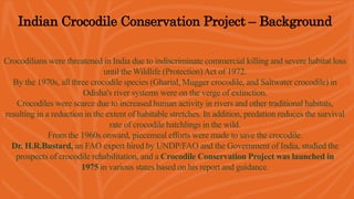 CROCODILE PROJECT ECOLOGY CONSERVATION OF CROCODILES | PPTX