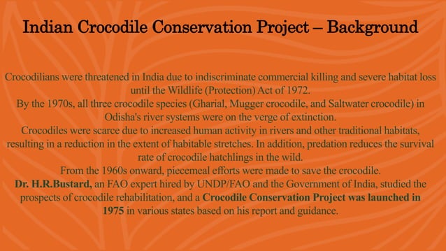 CROCODILE PROJECT ECOLOGY CONSERVATION OF CROCODILES | PPTX | Zoos ...