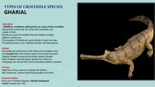 CROCODILE PROJECT ECOLOGY CONSERVATION OF CROCODILES | PPTX