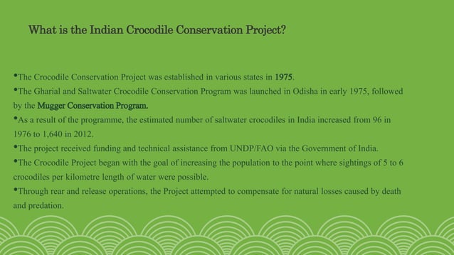 CROCODILE PROJECT ECOLOGY CONSERVATION OF CROCODILES | PPTX | Zoos ...
