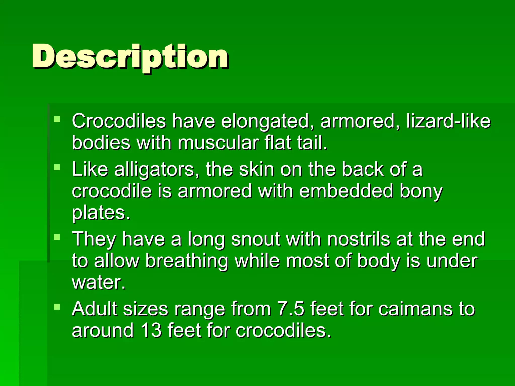 Crocodiles | PPT