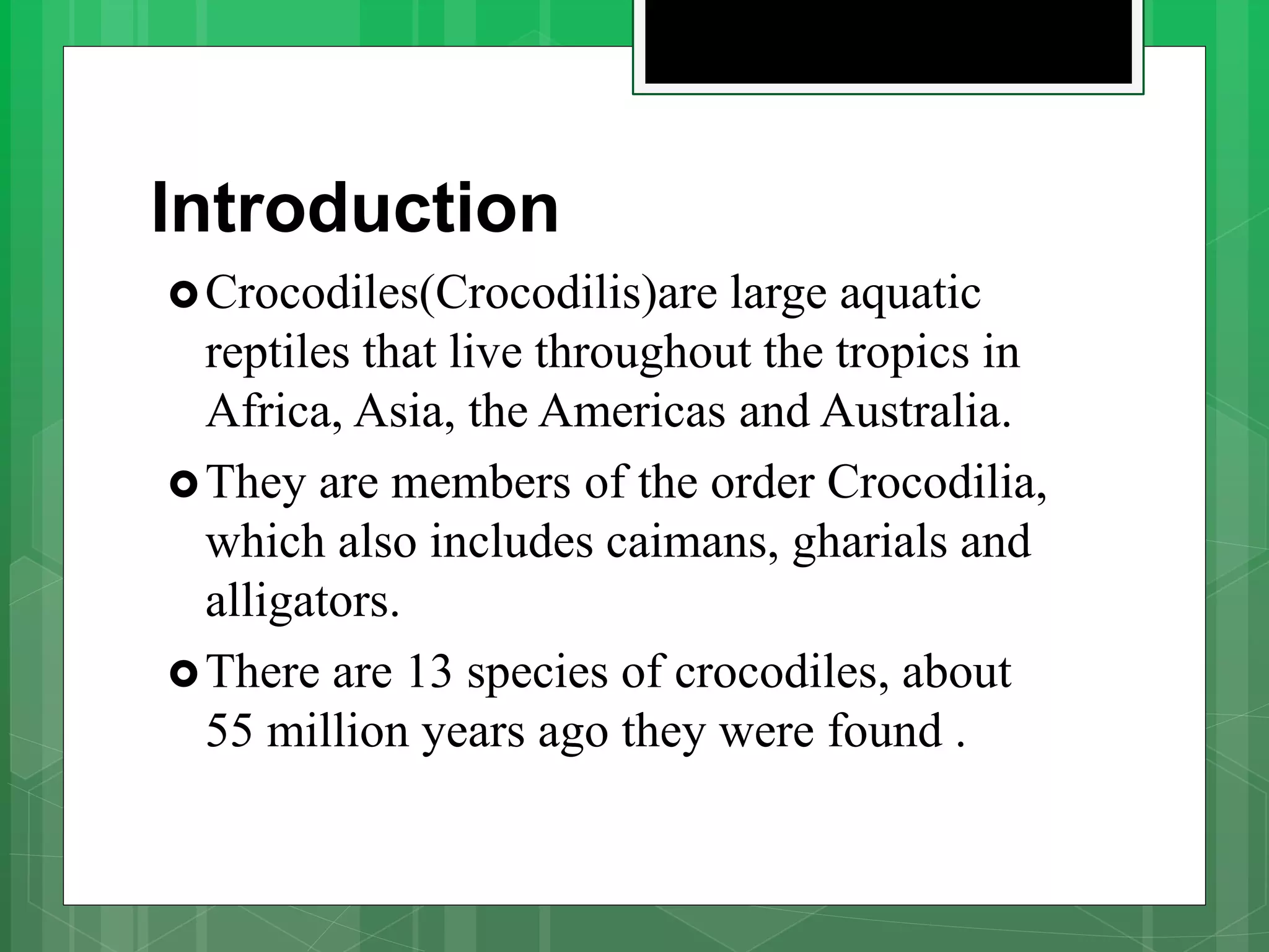 Crocodiles | PPTX