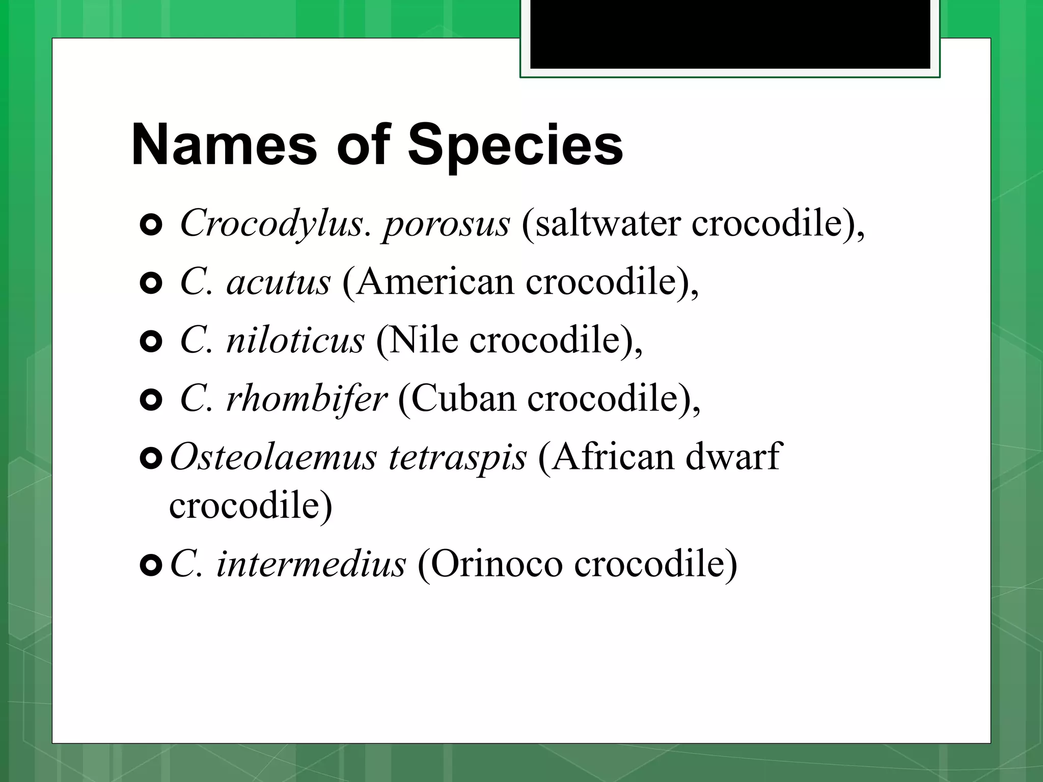 Crocodiles | PPTX