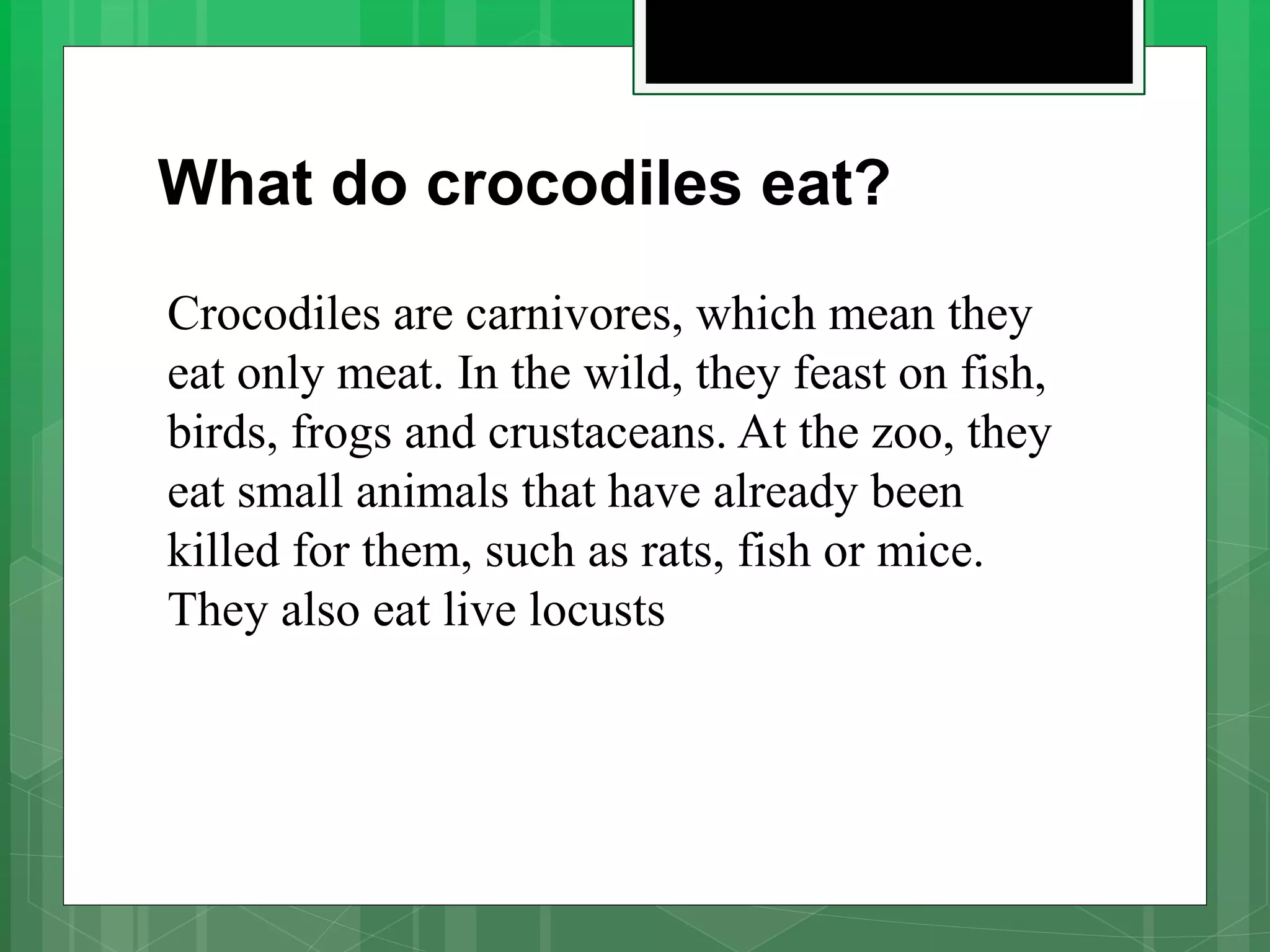 Crocodiles | PPTX