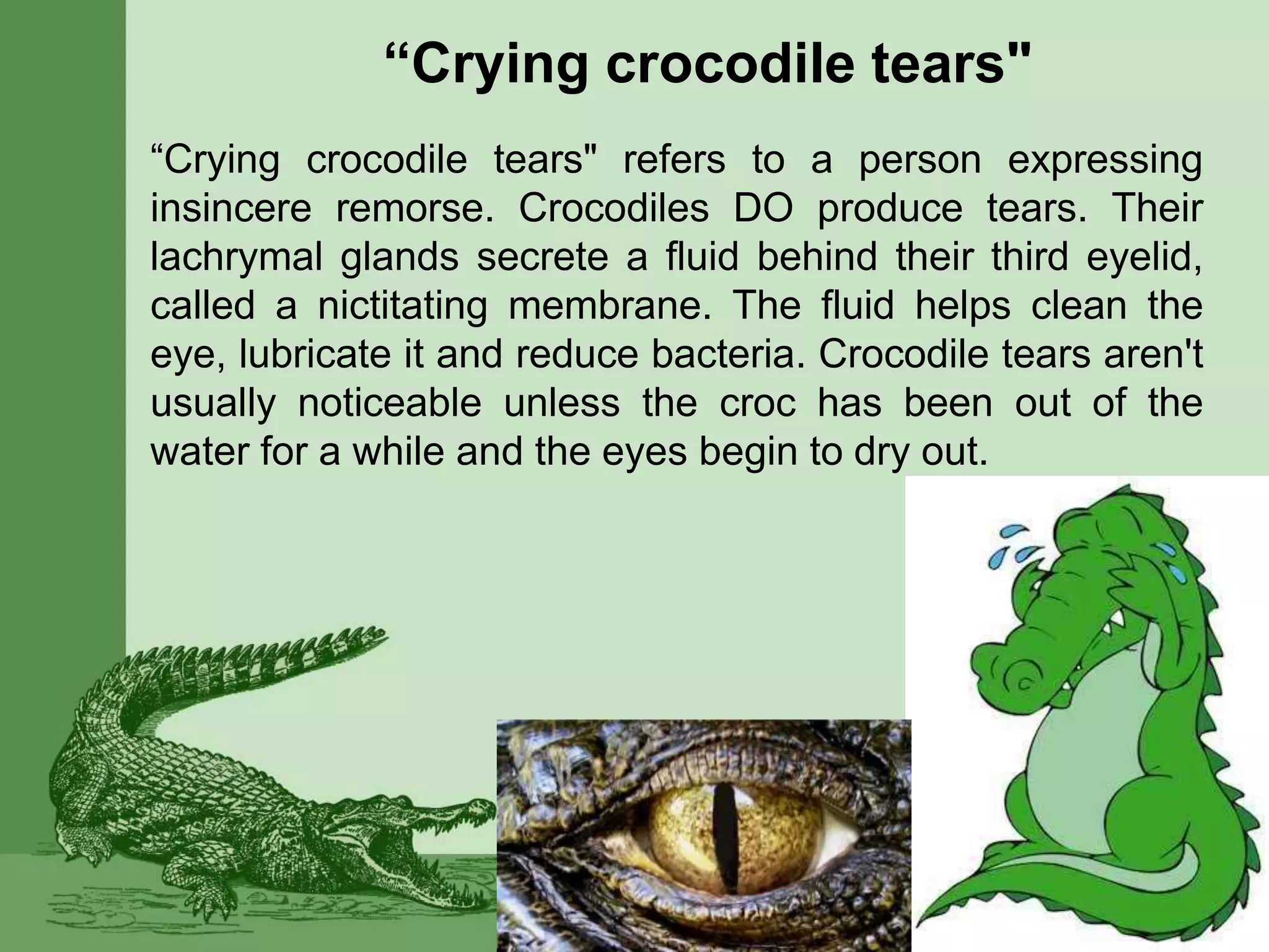 Crocodiles farming and importance | PPTX