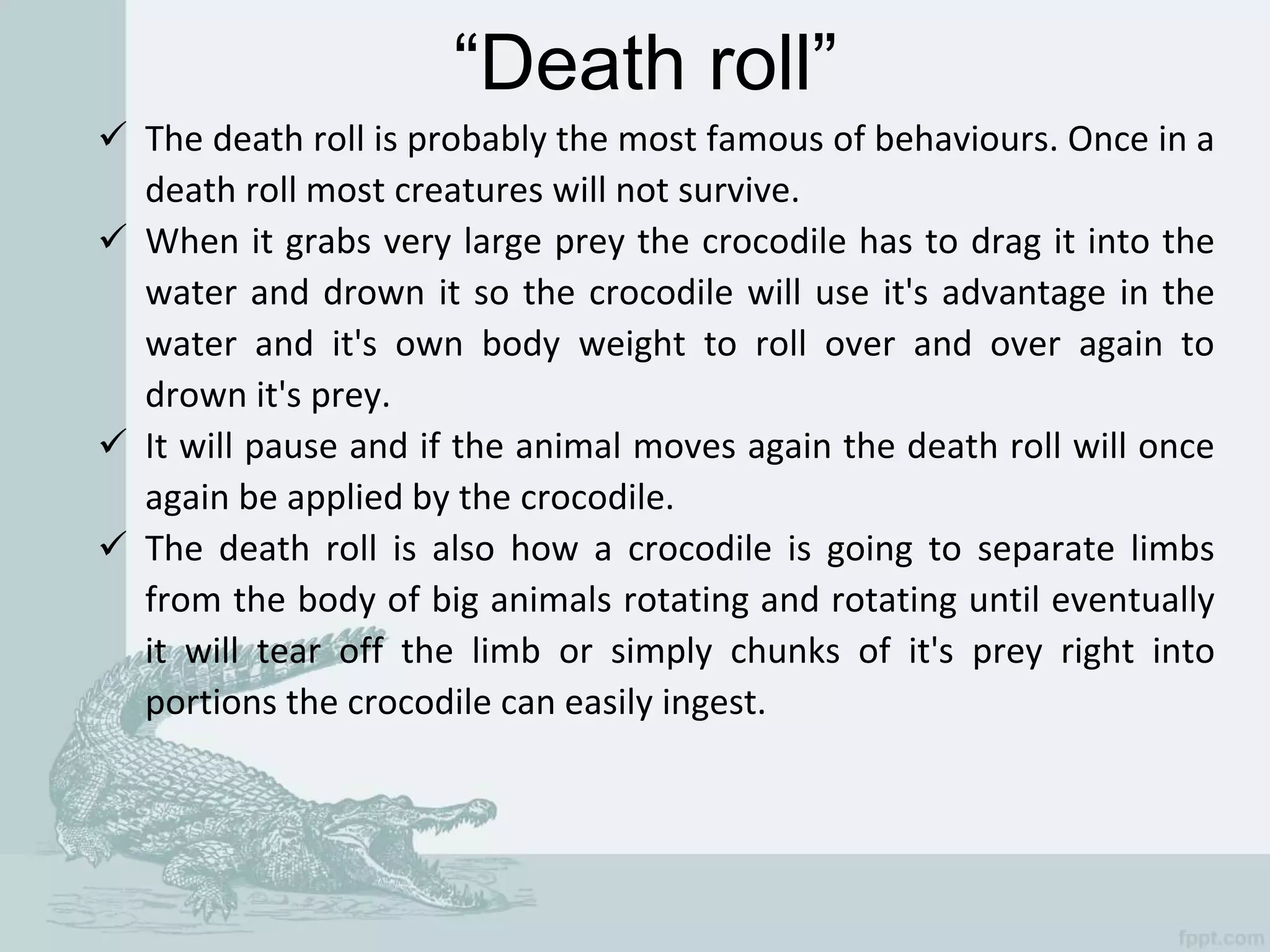 Crocodiles farming and importance | PPTX