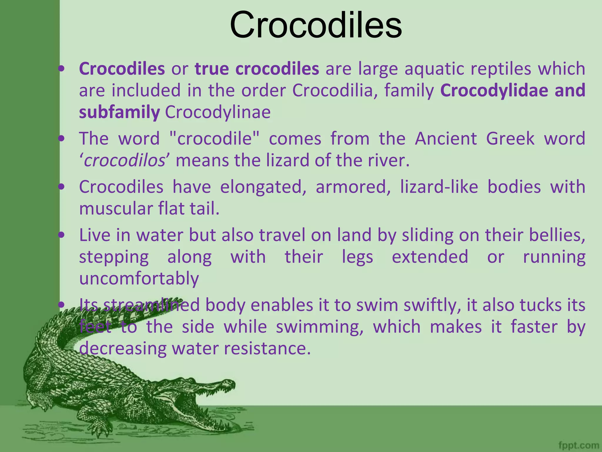 Crocodiles farming and importance | PPTX