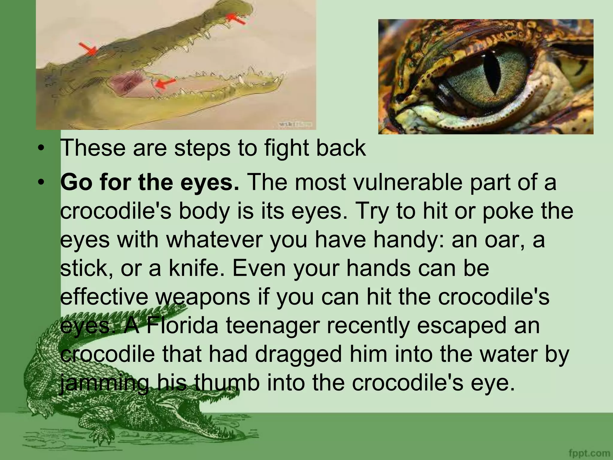 Crocodiles farming and importance | PPTX