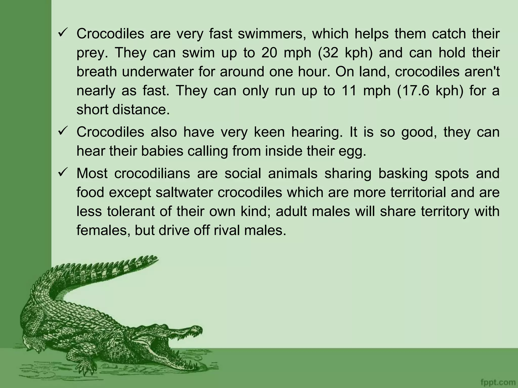 Crocodiles farming and importance | PPTX