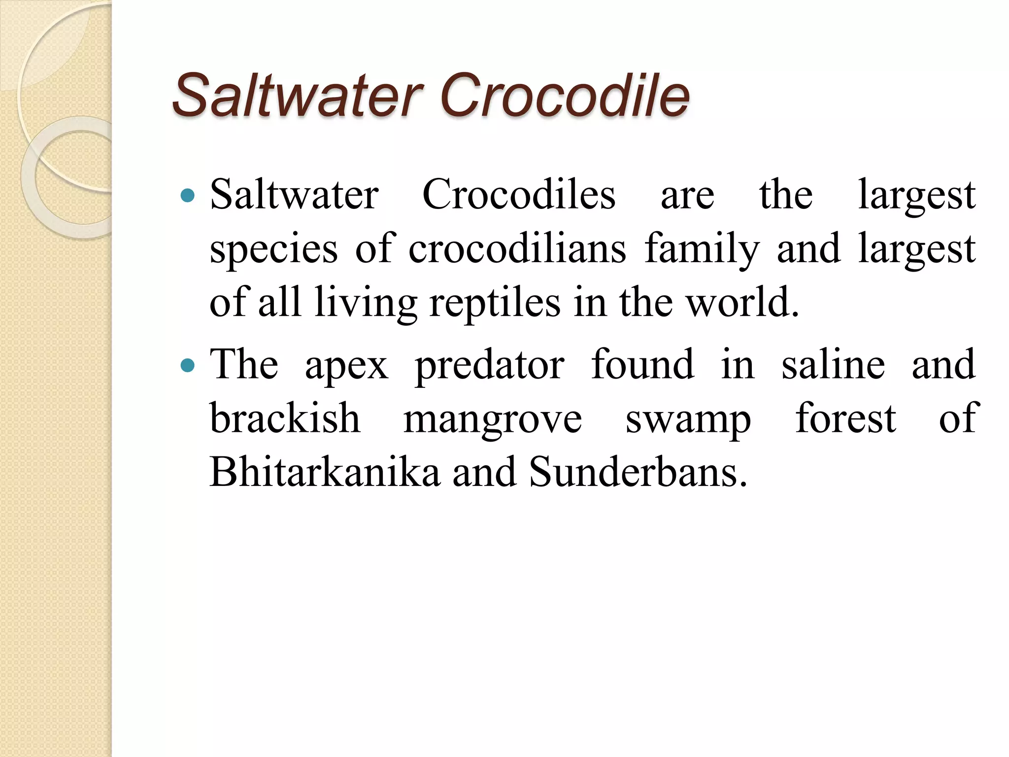 Crocodile sites in india | PPTX
