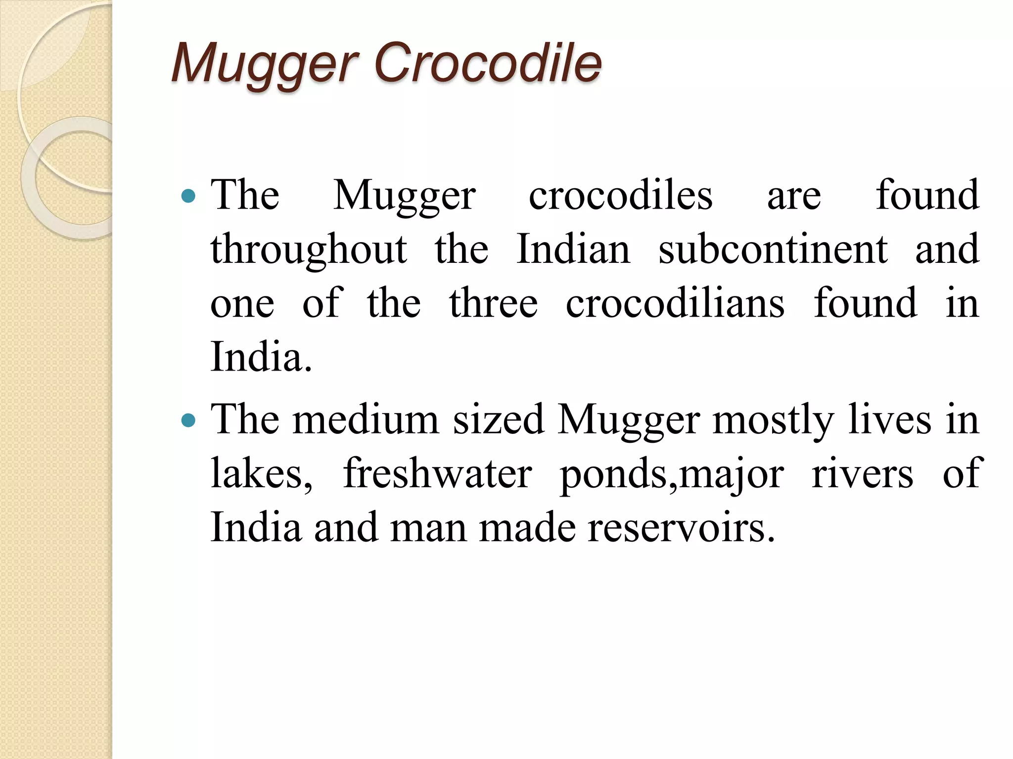 Crocodile sites in india | PPTX