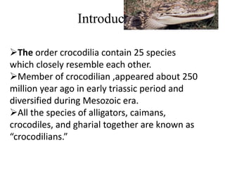 CROCODILIA.pptx
