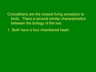 Crocodilian Notes | PPT