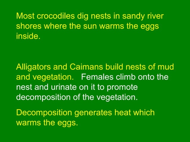 Crocodilian Notes | PPT