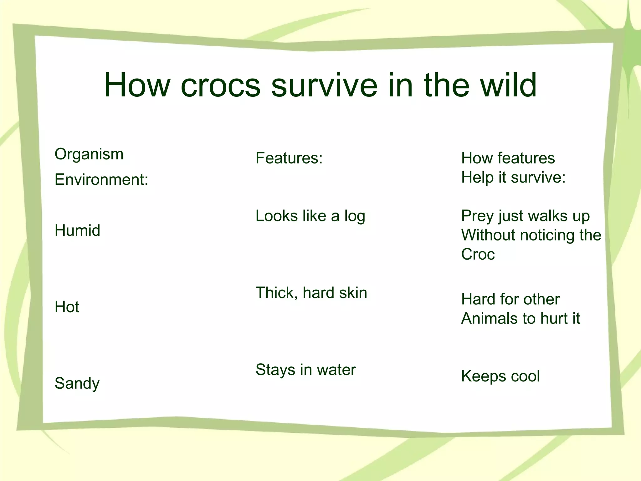 Crocs And Plovers Final | PPT