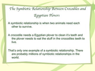 Crocs And Plovers Final | PPT