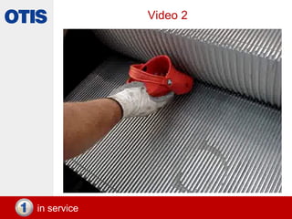 Dangers of Crocs Shoes. | PPT