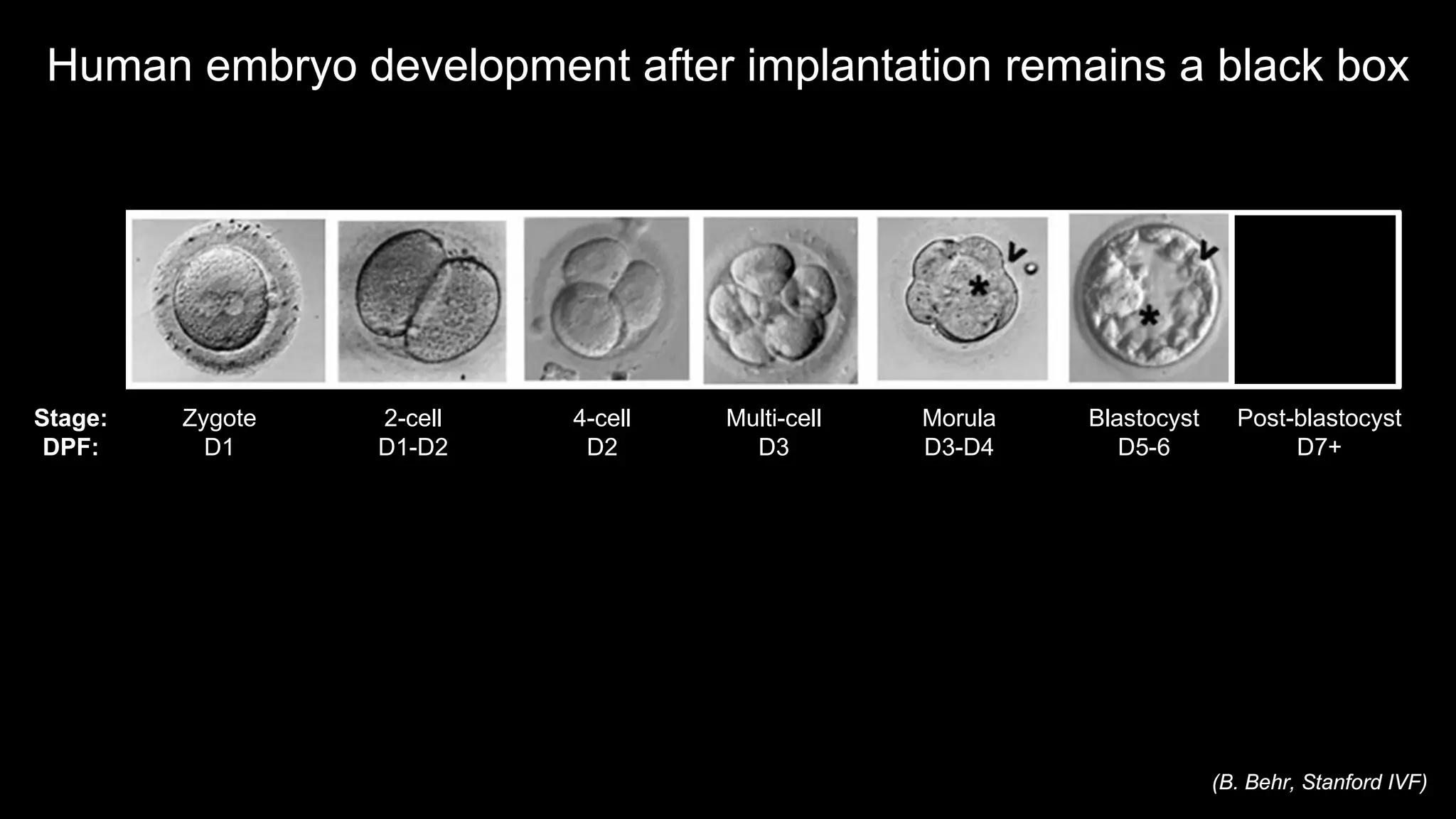 Gist Croft, "Self-organization of the in vitro attached human embryo ...