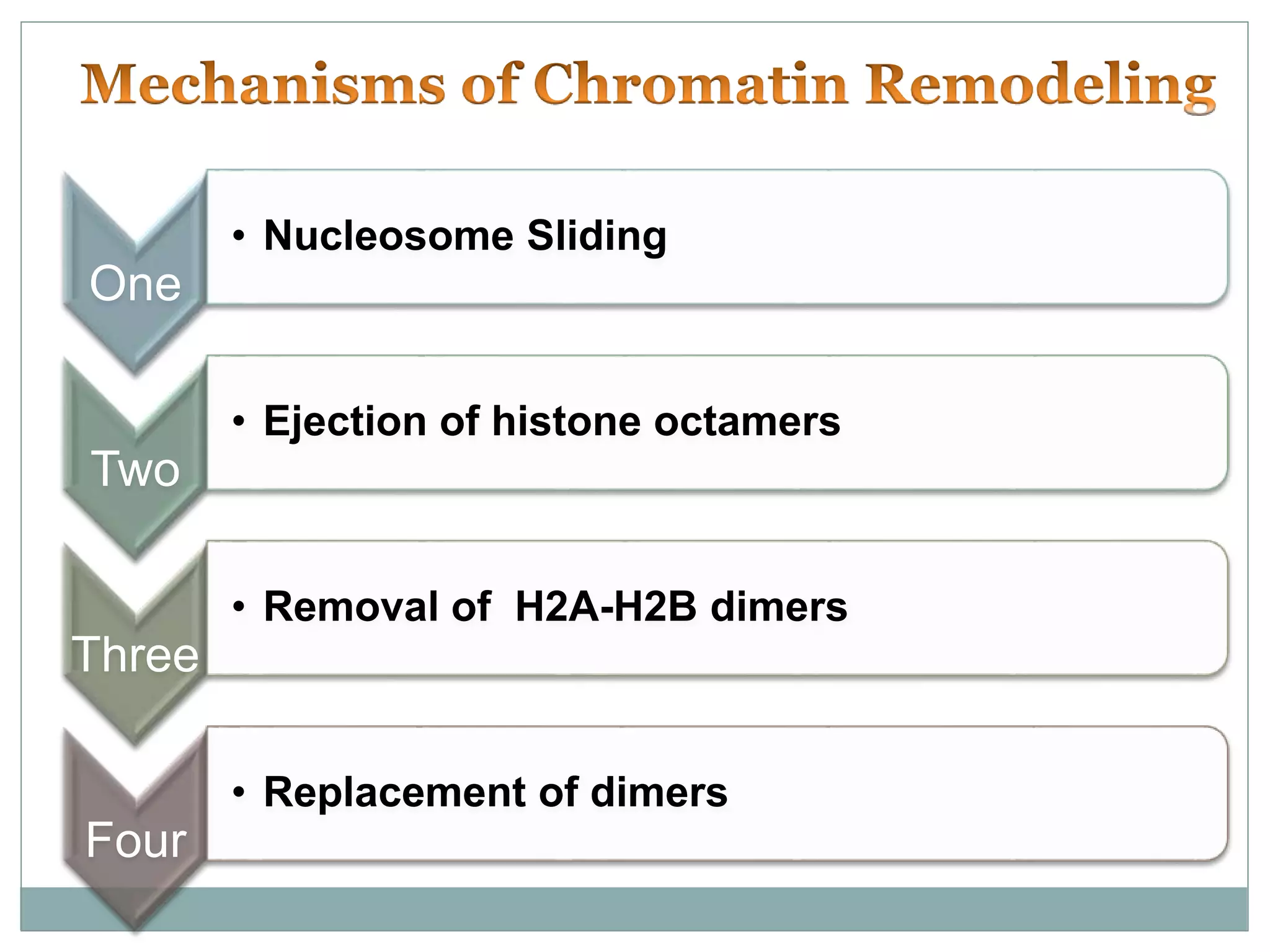 Cromatin Remodeling | PPTX