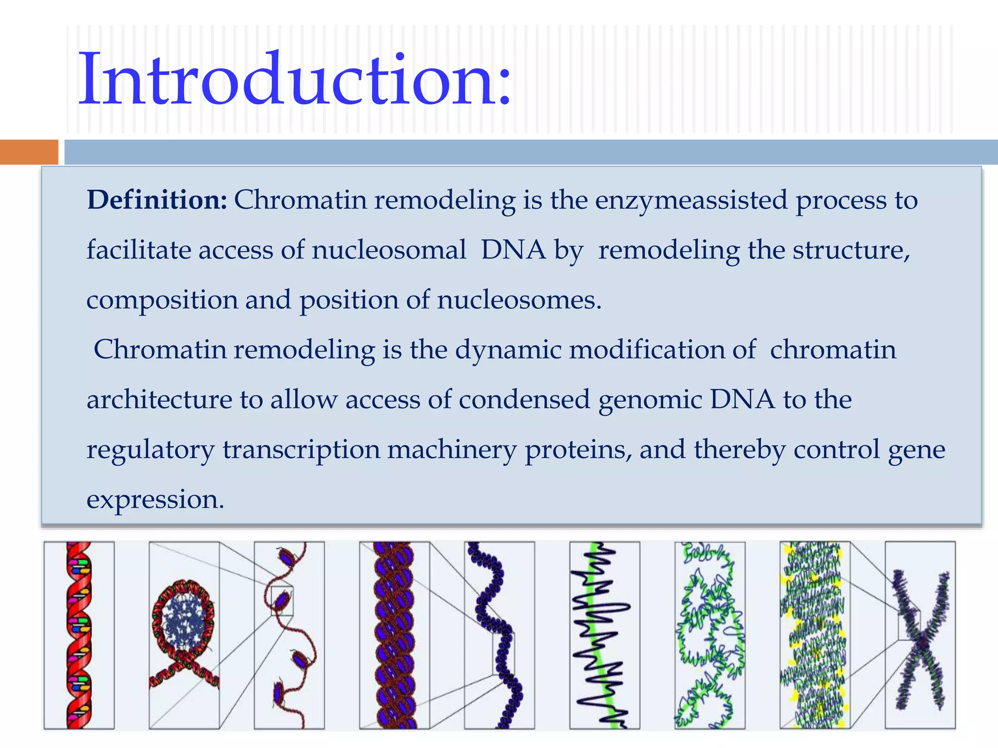 Cromatin Remodeling | PPTX